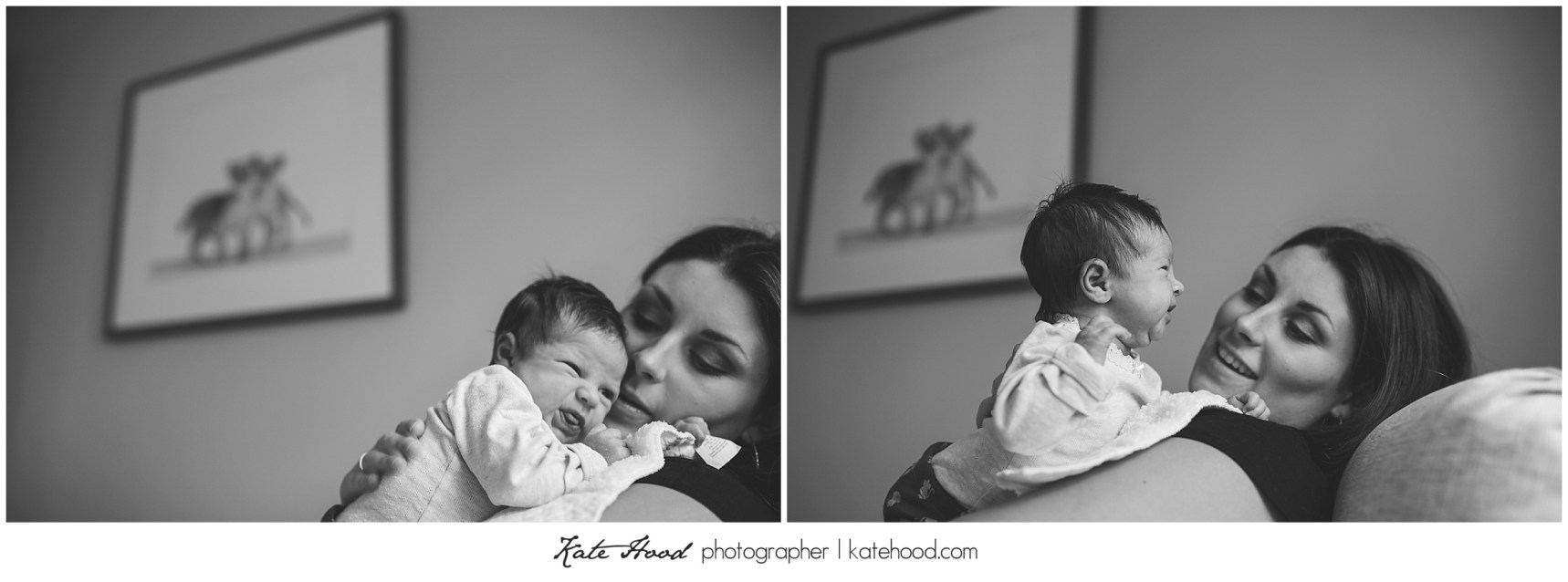 Parry Sound Family Photographer | Muskoka and Toronto; Specializing in ...